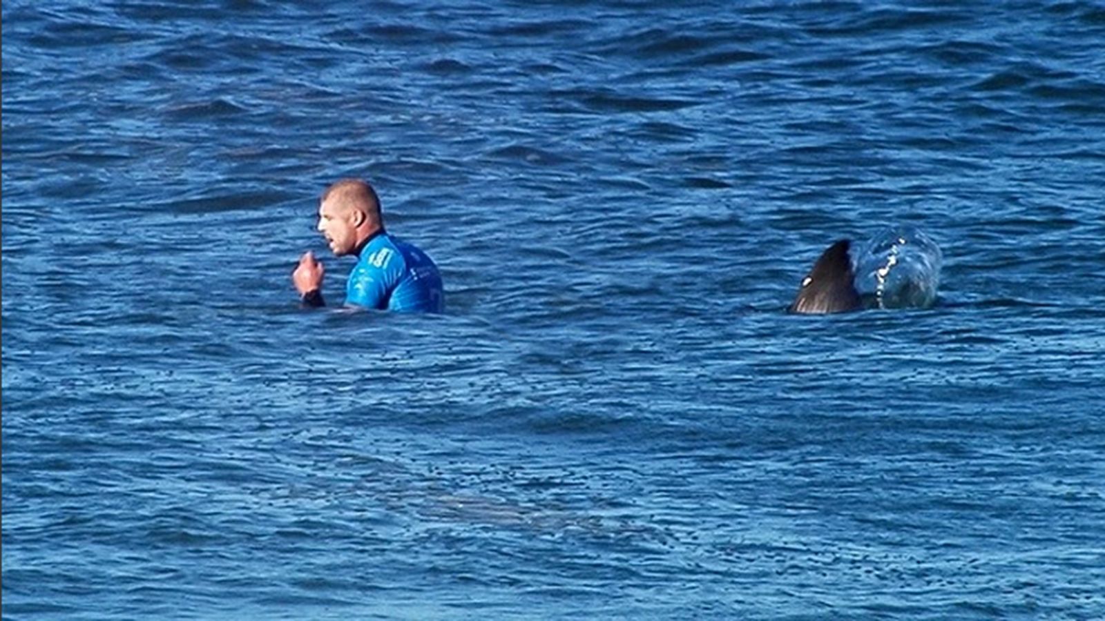 Champion surfer Mick Fanning escapes shark attack